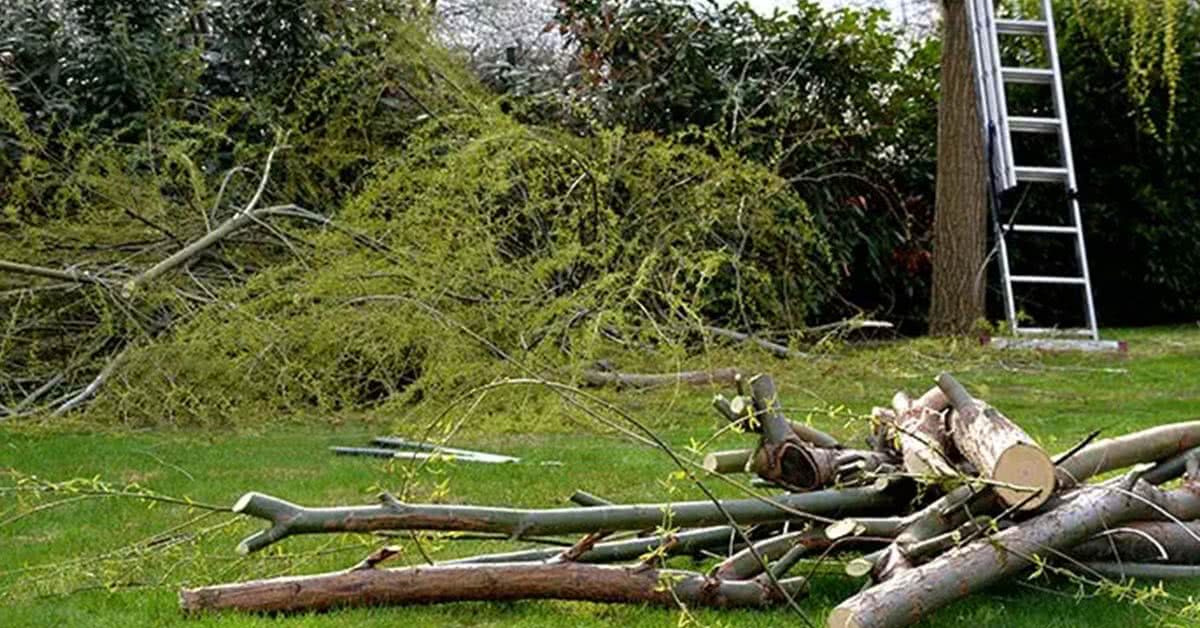 12 Projects to Add to Your Spring-Cleaning List | Mountainwood Homes